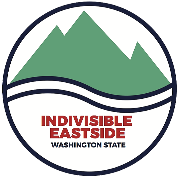 Washington Indivisible Network | Linktree